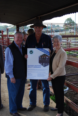 It's smooth sailing for Warwick Saleyards | Warwick Today