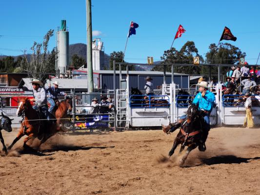Killarney rodeo attracted over 1500 spectators and around 200 ...