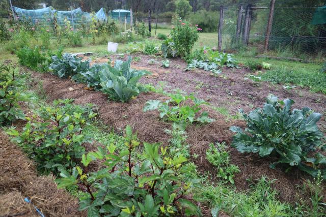 Open gardens a must-see | Warwick Today