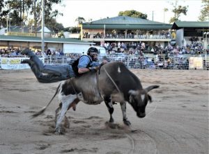 Bullrider dies after tragic incident at rodeo | Warwick Today