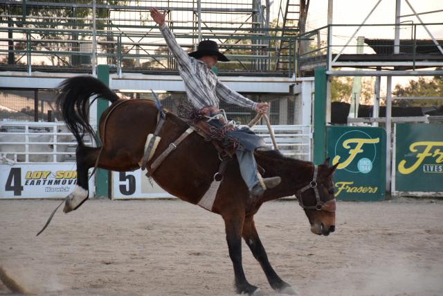 Getting Rodeo ready | Warwick Today