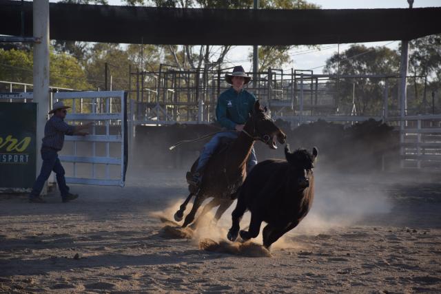 Getting Rodeo ready | Warwick Today
