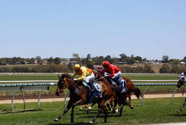 Historic cup thrills crowds | Warwick Today