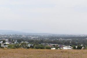 How to support bushfire affected communities | Warwick Today