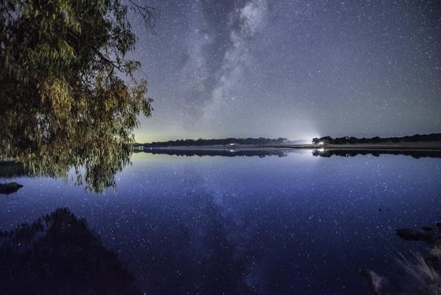 calphotos_379994_11.jpg | Warwick Today