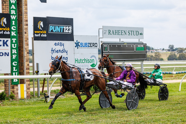 Harness Racing makes a colourful return | Warwick Today