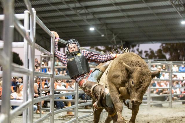 Don’t miss Friday rodeo | Warwick Today