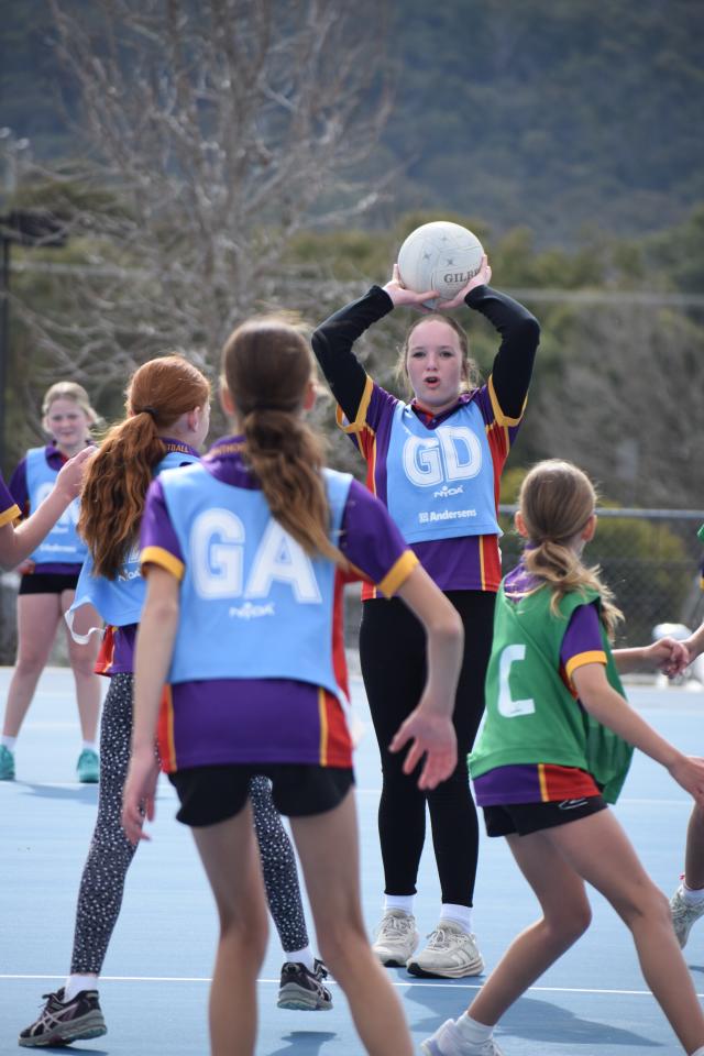 Stanthorpe netball continues to shine | Warwick Today
